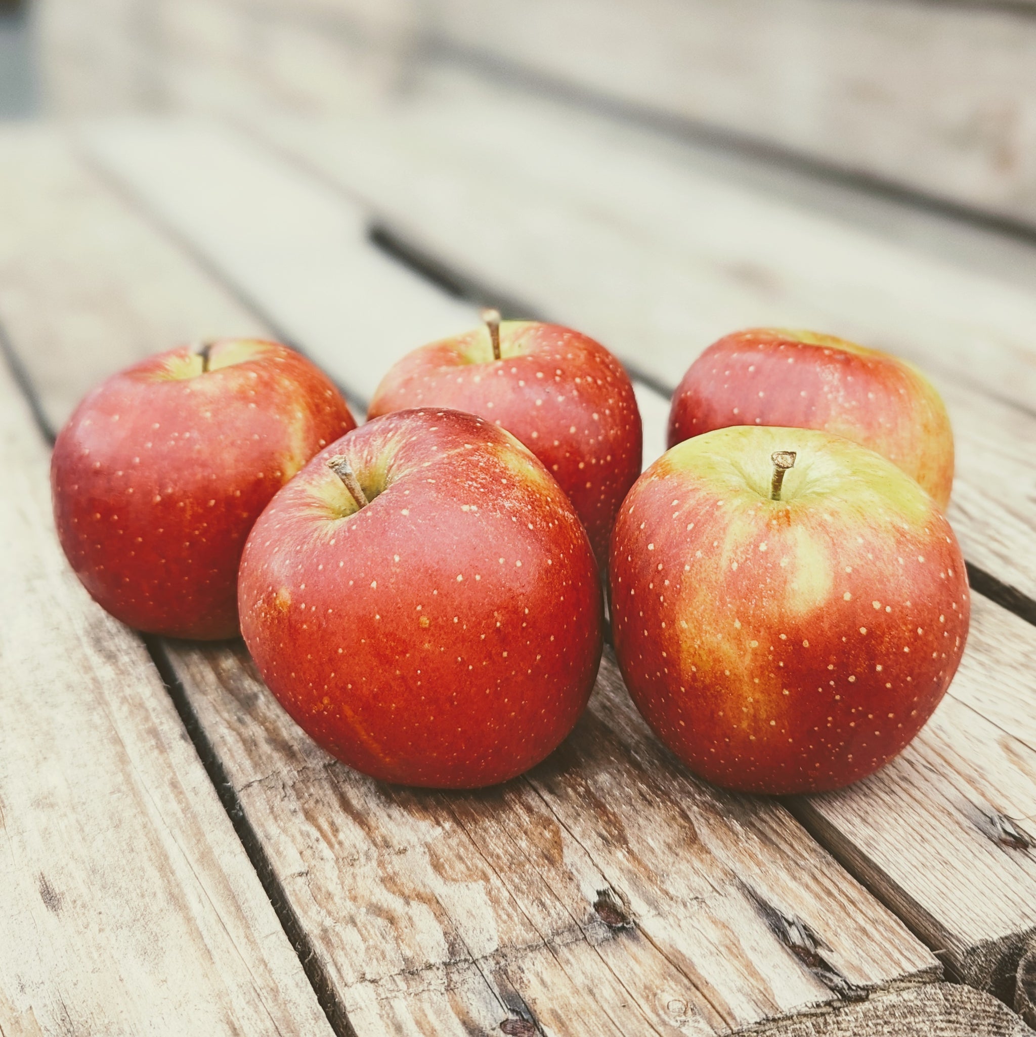 Apfel "Wellant" / "Fresco" vom Obsthof Büther aus dem Alten Land online ...