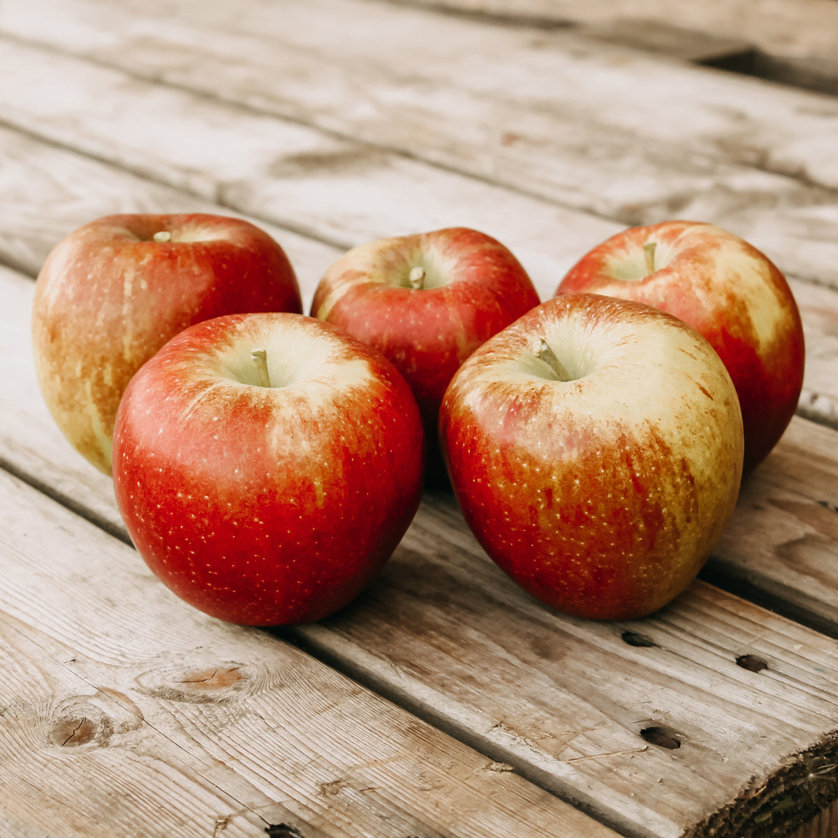 Apfel "Braeburn" vom Obsthof Büther aus dem Alten Land online bestellen